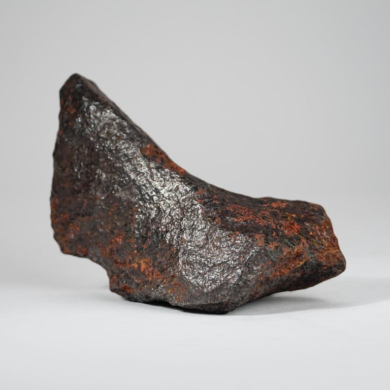 Genuine Large Canyon Diablo Iron Meteorite For Sale at 1stDibs