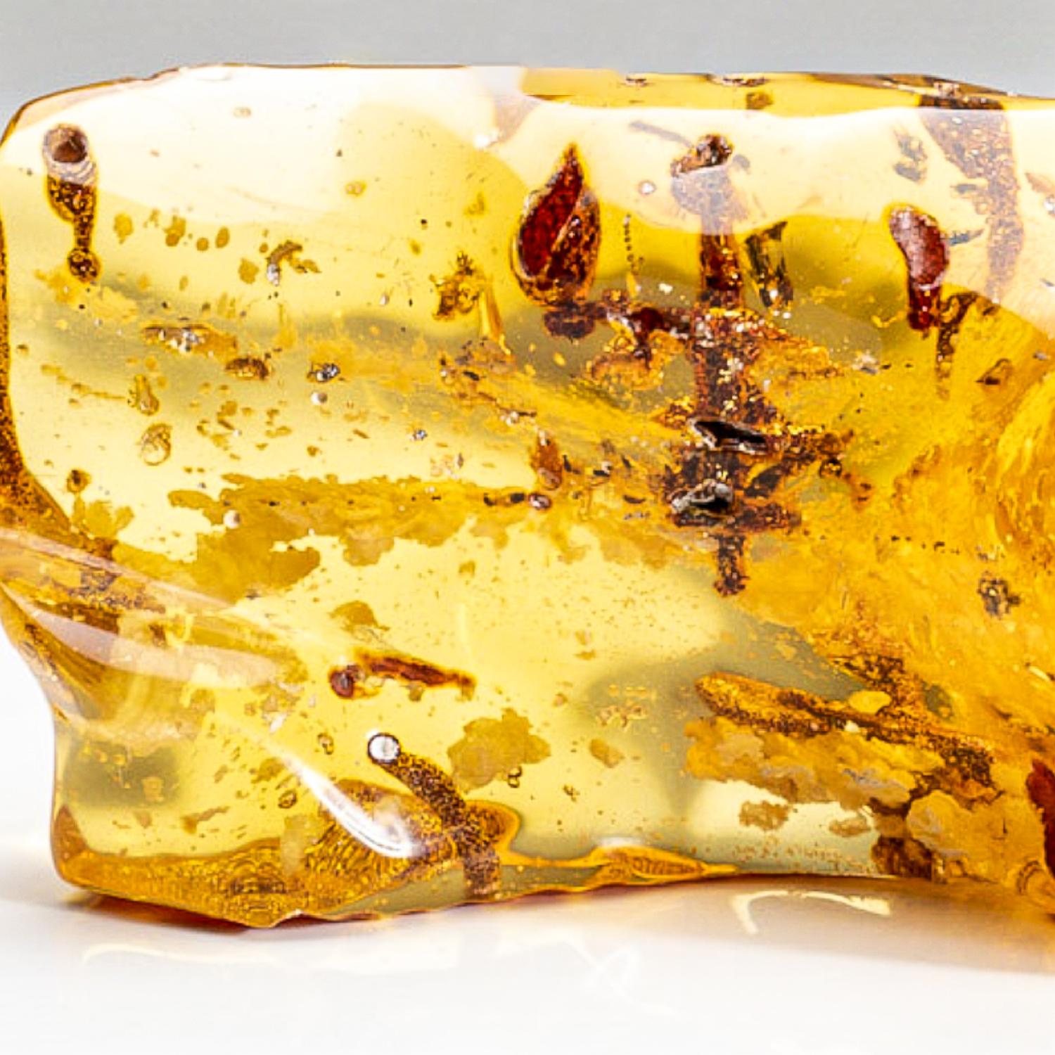 Genuine Large Museum Quality Copal Amber from Colombia (1.6 lbs) For ...
