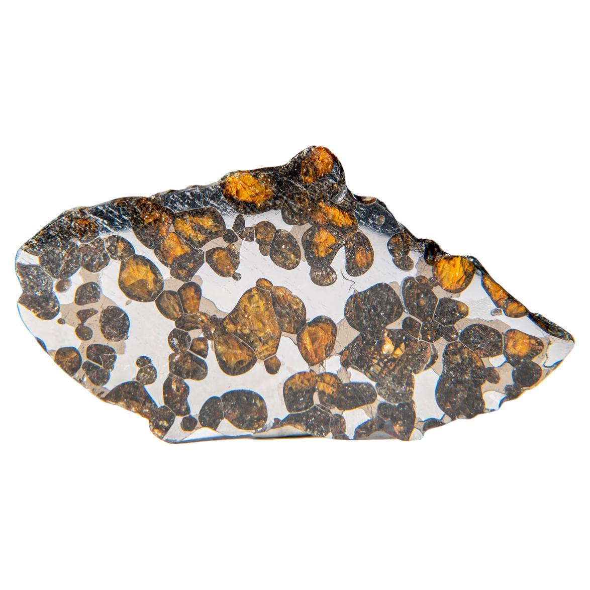 Genuine Sericho Pallasite Meteorite Slab (394.3 grams) For Sale at 1stDibs