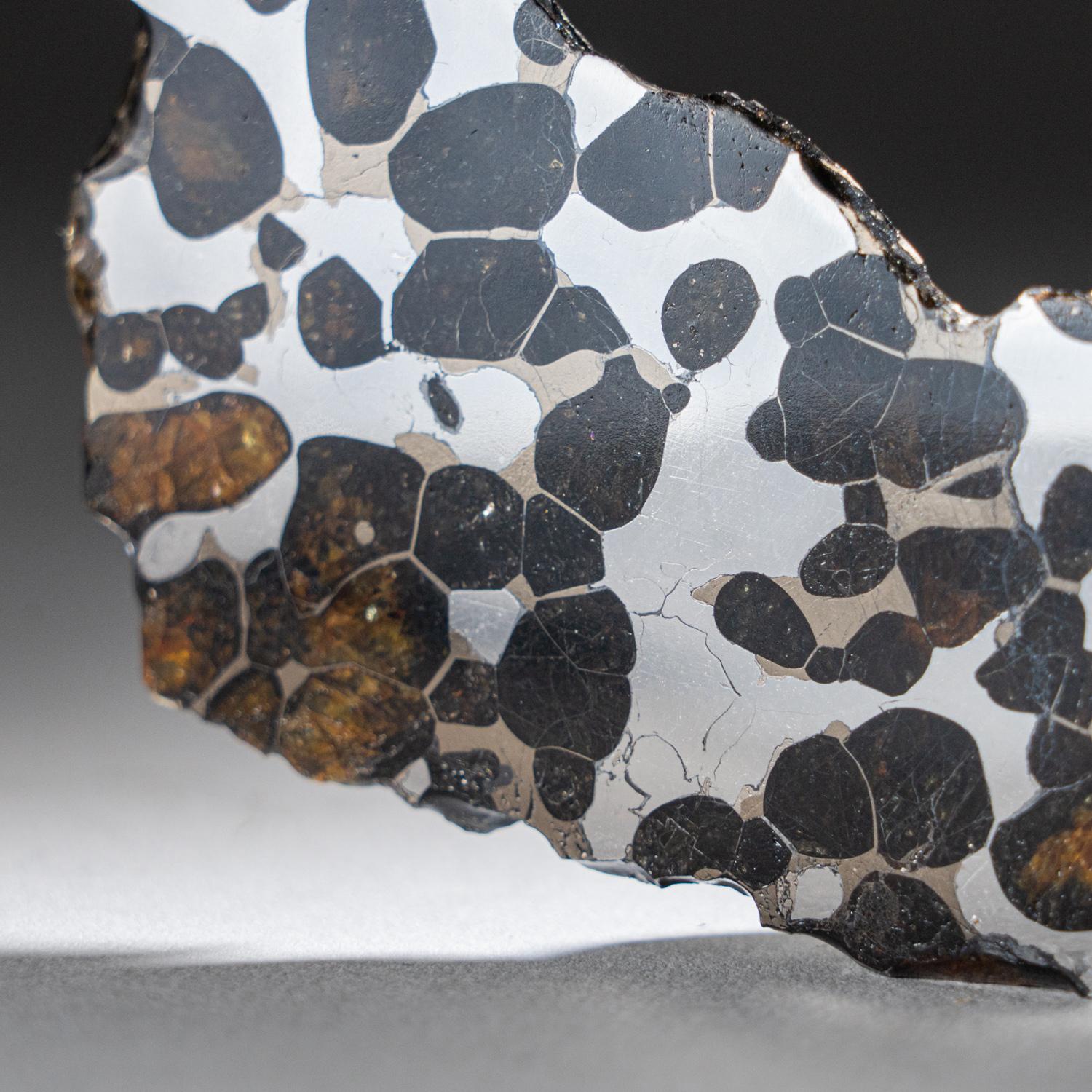 Genuine Natural Seymchan Pallasite Meteorite Slab (51.5 grams) For Sale ...