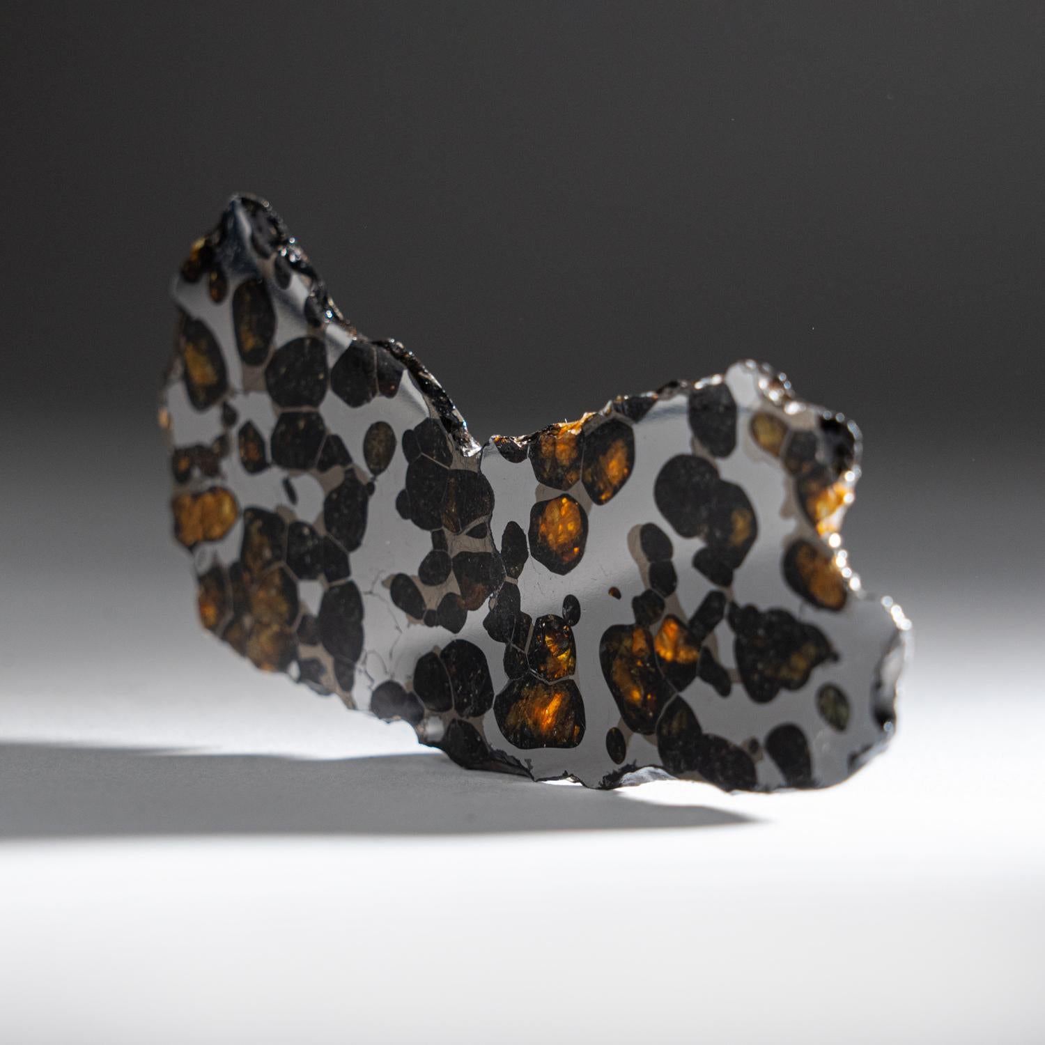Genuine Natural Seymchan Pallasite Meteorite Slab (51.5 grams) For Sale ...