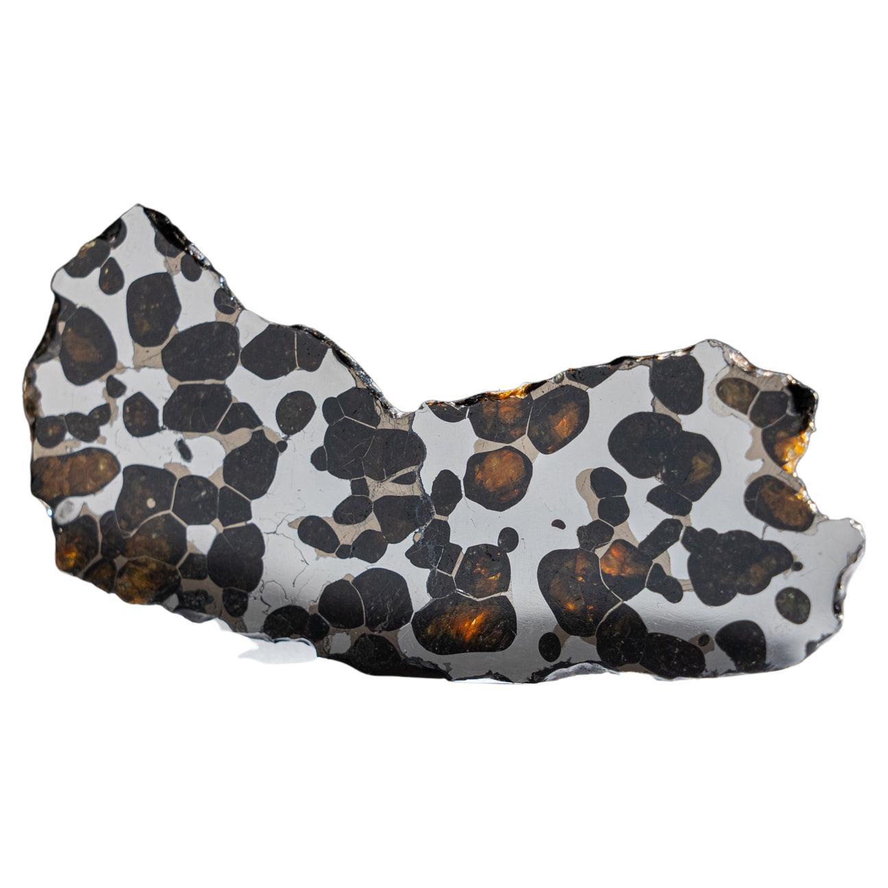 Genuine Natural Seymchan Pallasite Meteorite Slab (51.5 grams) For Sale ...