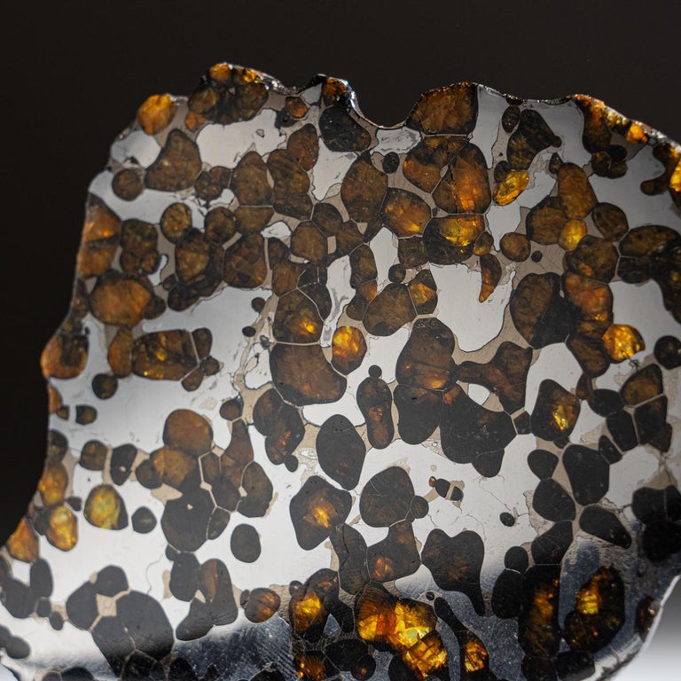 Ein echtes natürliches Seymchan-Pallasit- Meteorit-Schlauch aus ...