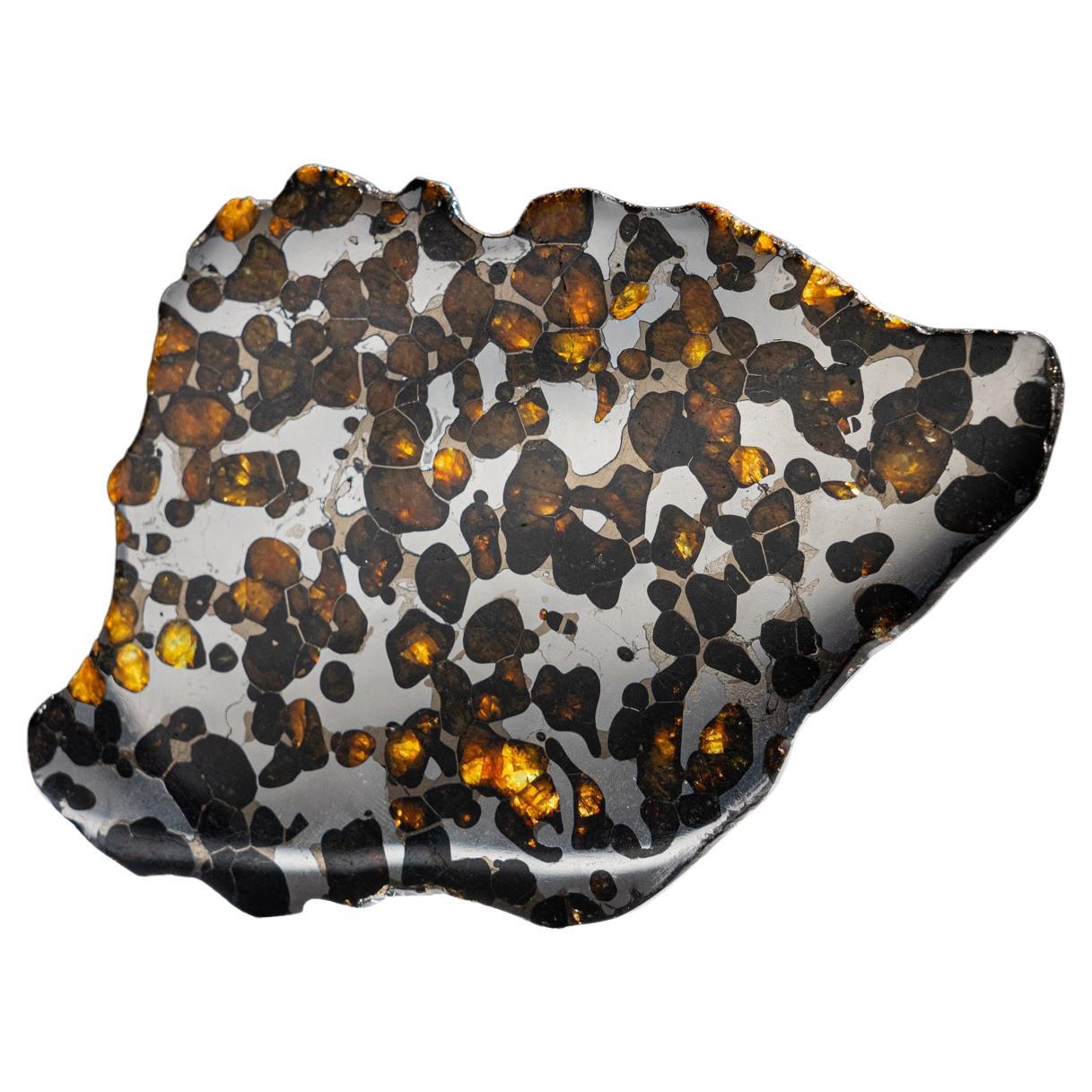 Genuine Large Canyon Diablo Iron Meteorite For Sale at 1stDibs