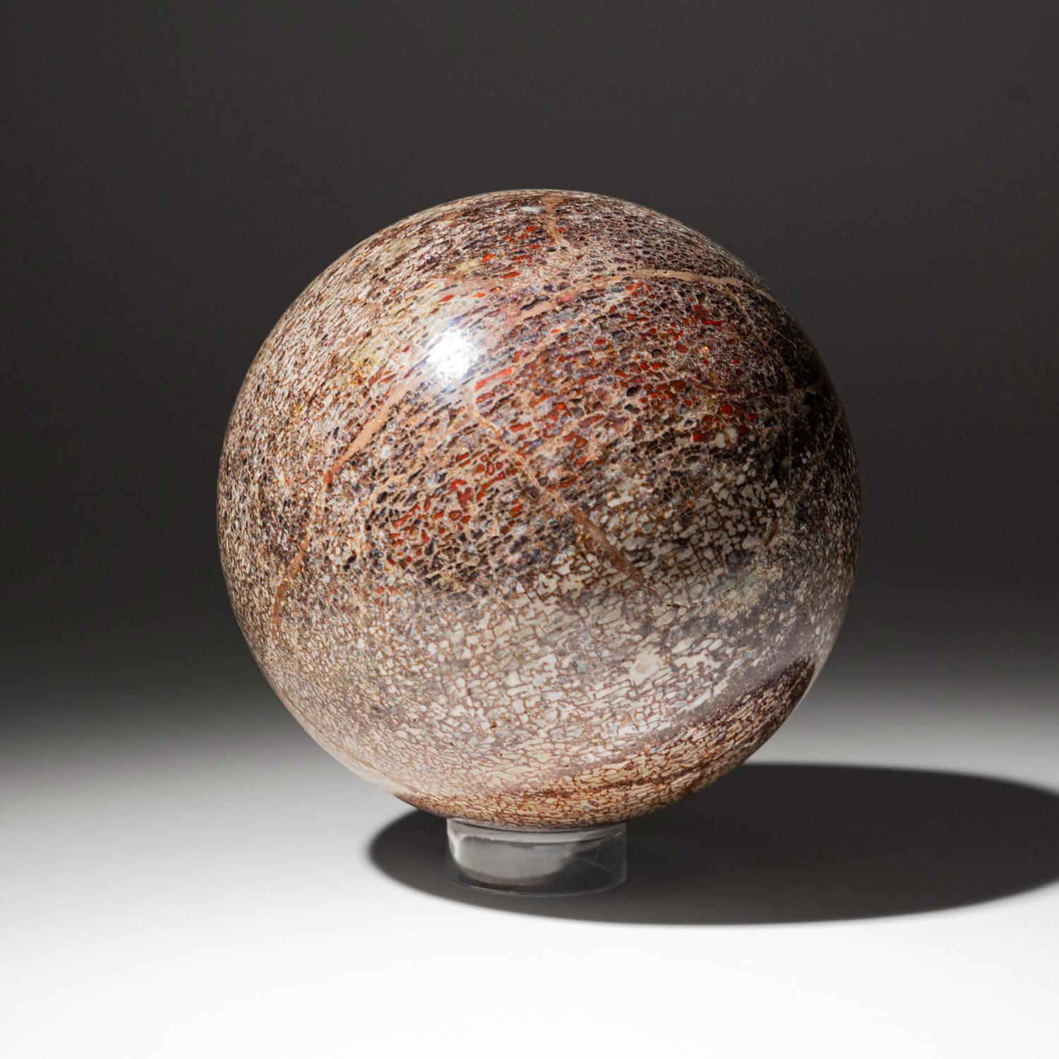 Genuine Polished Dinosaur Bone Sphere with Acrylic Display Stand (11.6 ...