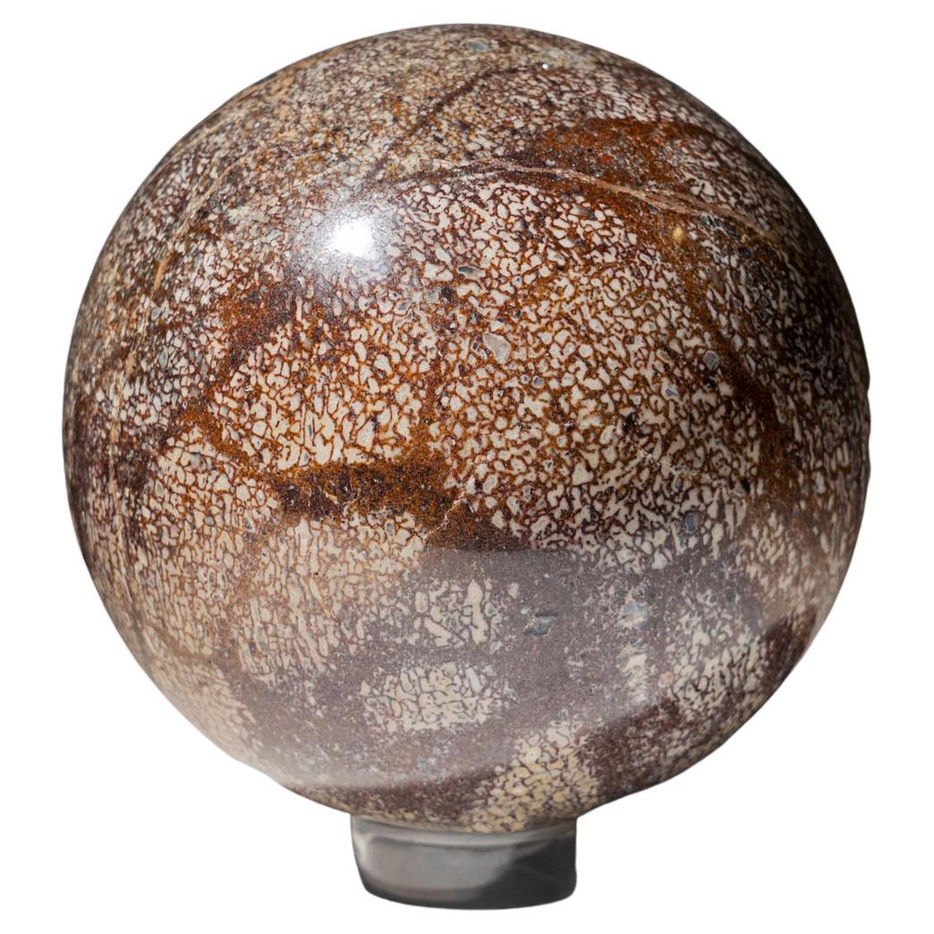 Genuine Polished Dinosaur Bone Sphere with Acrylic Display Stand (11.6 ...
