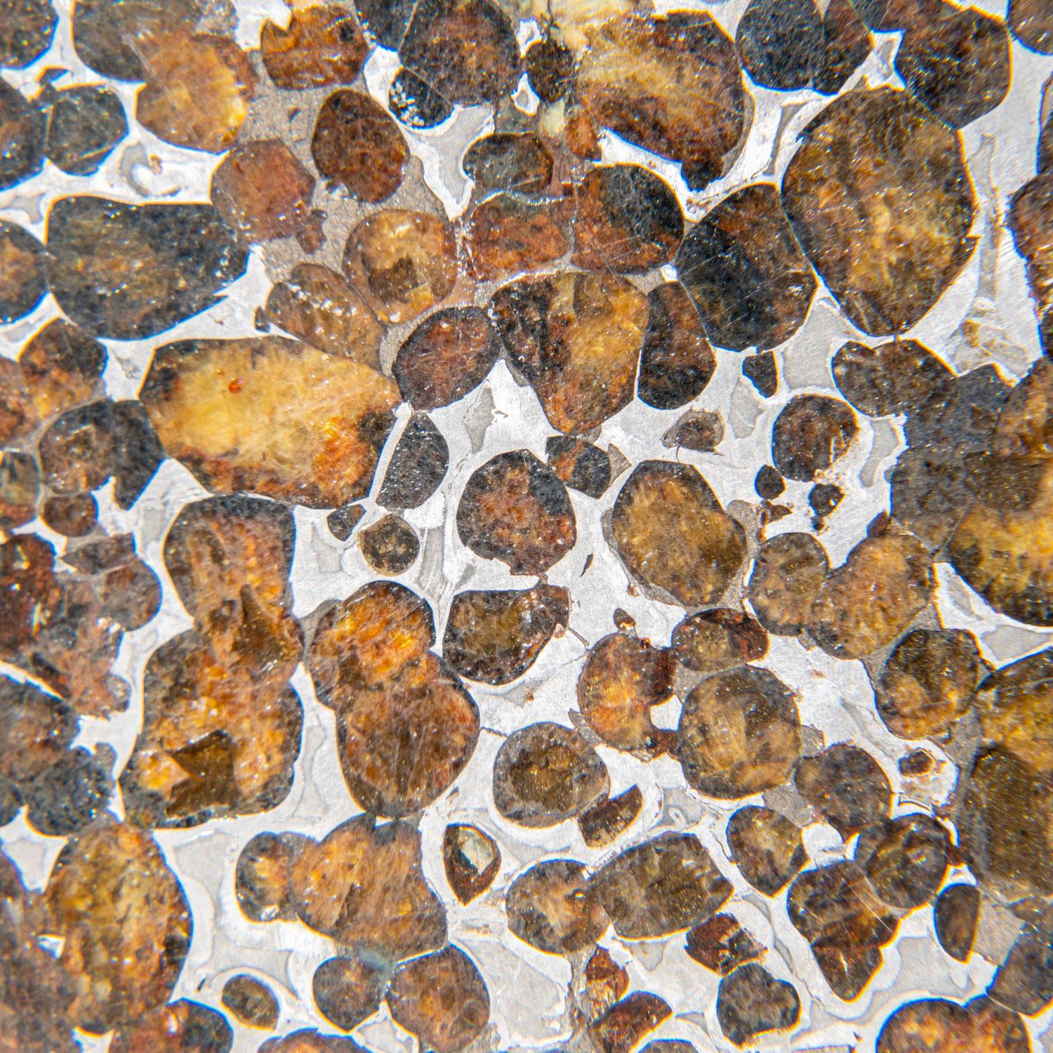Genuine Sericho Pallasite Meteorite Slab (83.3 grams) For Sale at 1stDibs