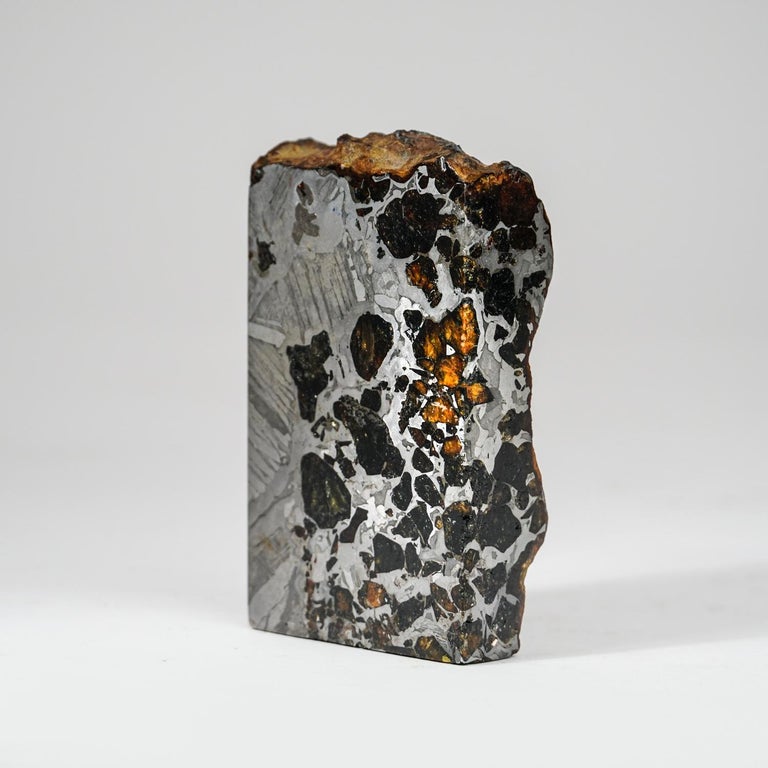 Genuine Seymchan Pallasite Meteorite For Sale at 1stDibs