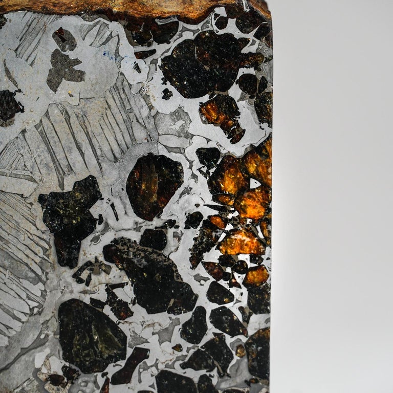 Genuine Seymchan Pallasite Meteorite For Sale at 1stDibs