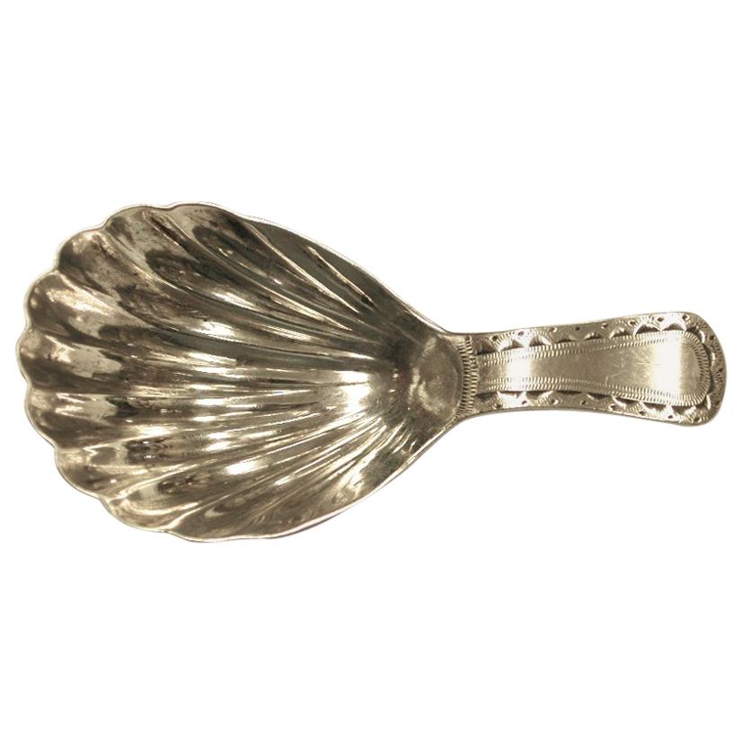Antique George 111 Silver Leaf Caddy Spoon, Joseph Willmore, Birmingham ...