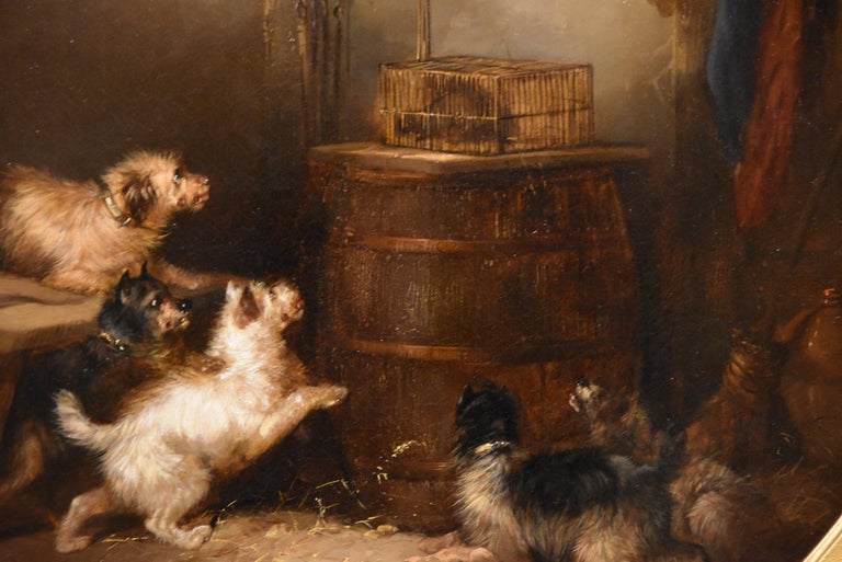 George Armfield - Oil Painting Pair by George Armfield "Terriers in a ...