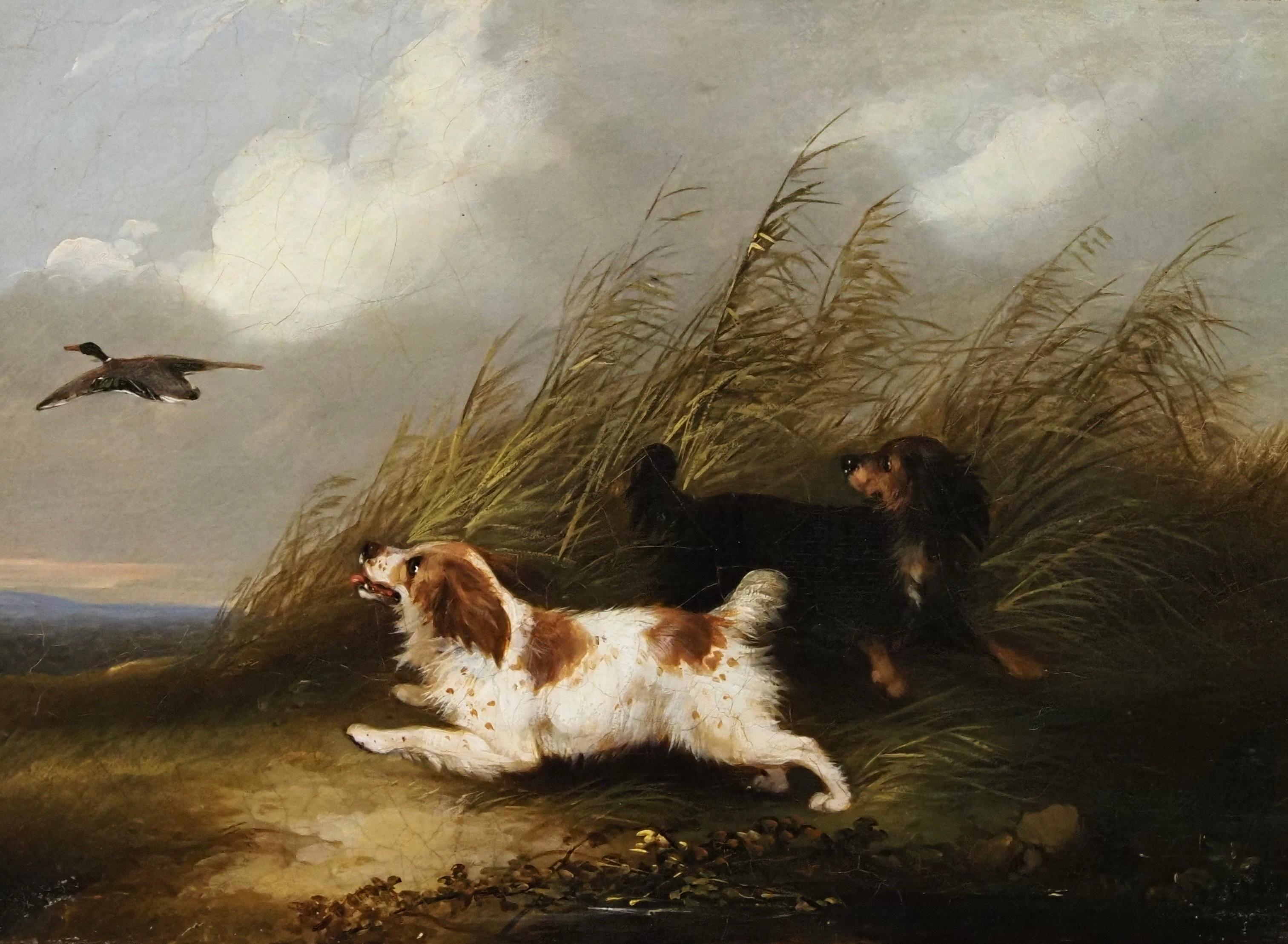 George Armfield - Spaniels Flushing A Pheasant attrib G Armfield at 1stDibs
