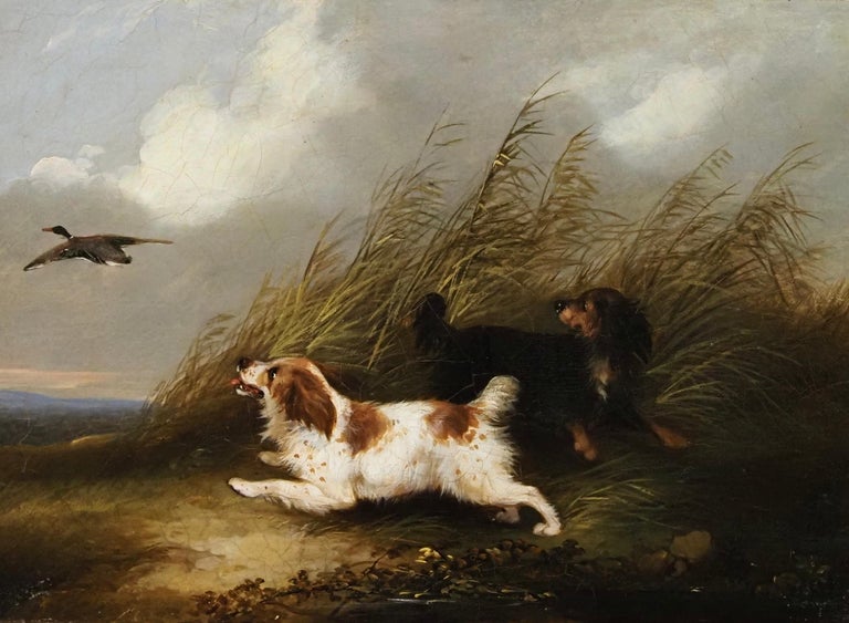 George Armfield - Spaniels putting up a duck For Sale at 1stDibs