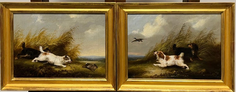 George Armfield - 'Terriers chasing a rabbit' and 'Spaniels putting up ...