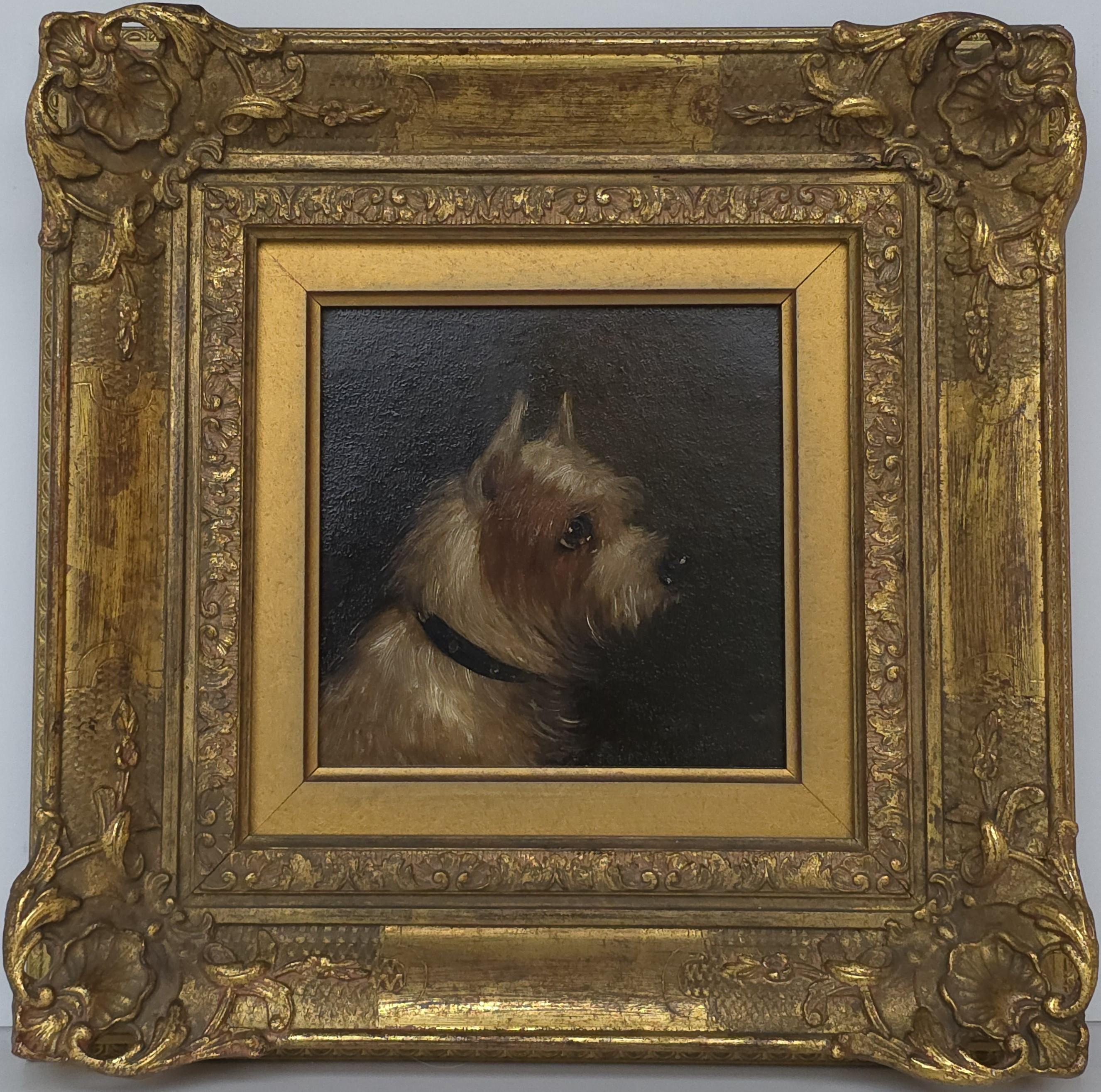 George Armfield - White and Brown Terrier For Sale at 1stDibs