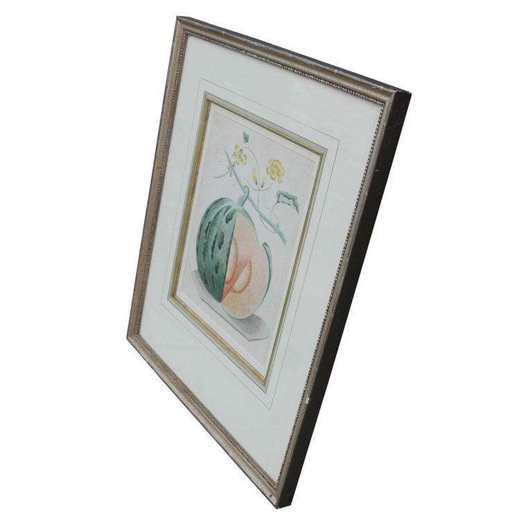 George Brookshaw Botanical Aquatint For Sale at 1stDibs