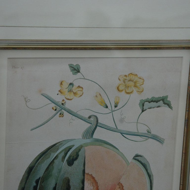George Brookshaw Botanical Aquatint For Sale at 1stDibs