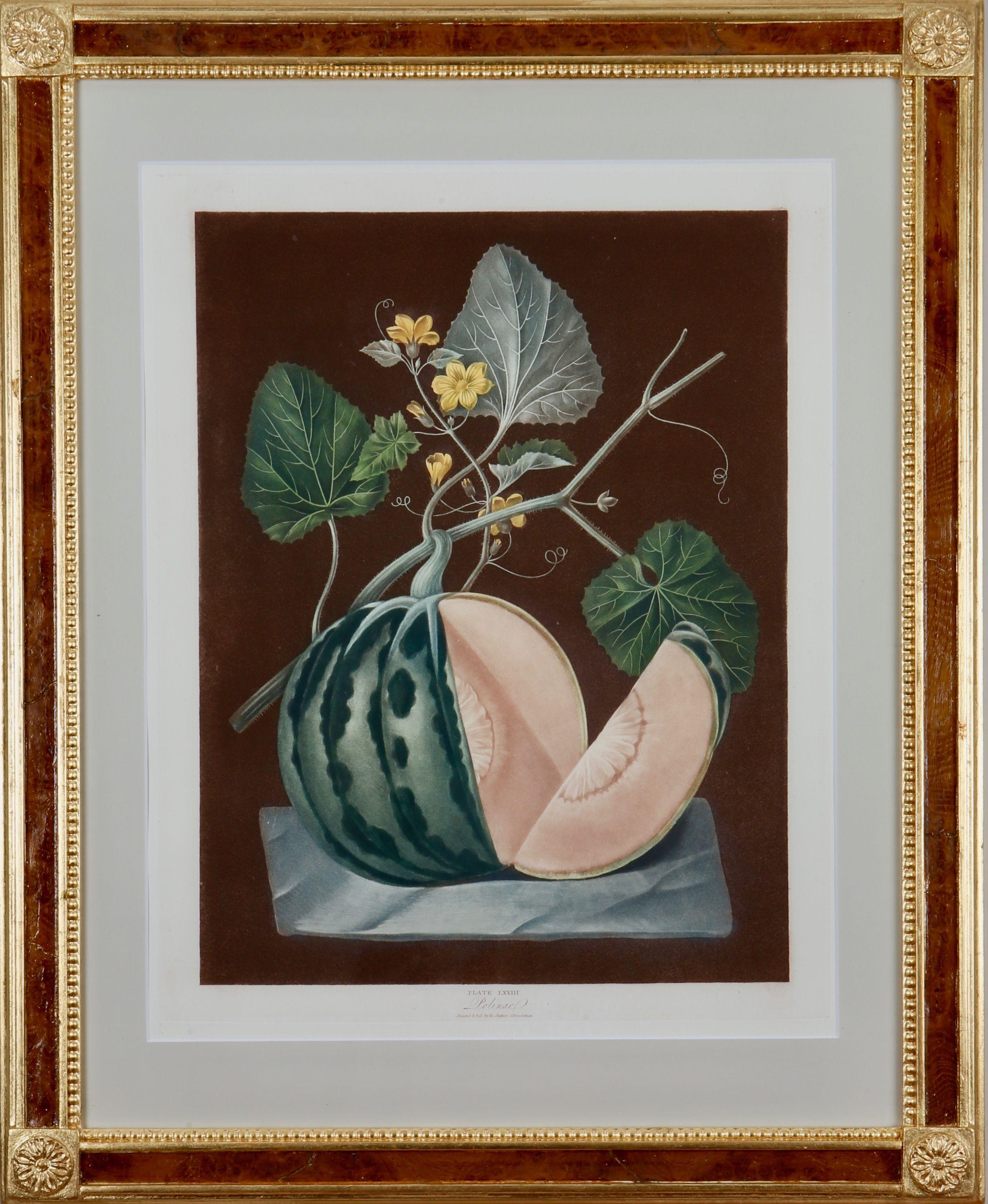 George Brookshaw - Plate 91. Apples. For Sale at 1stDibs