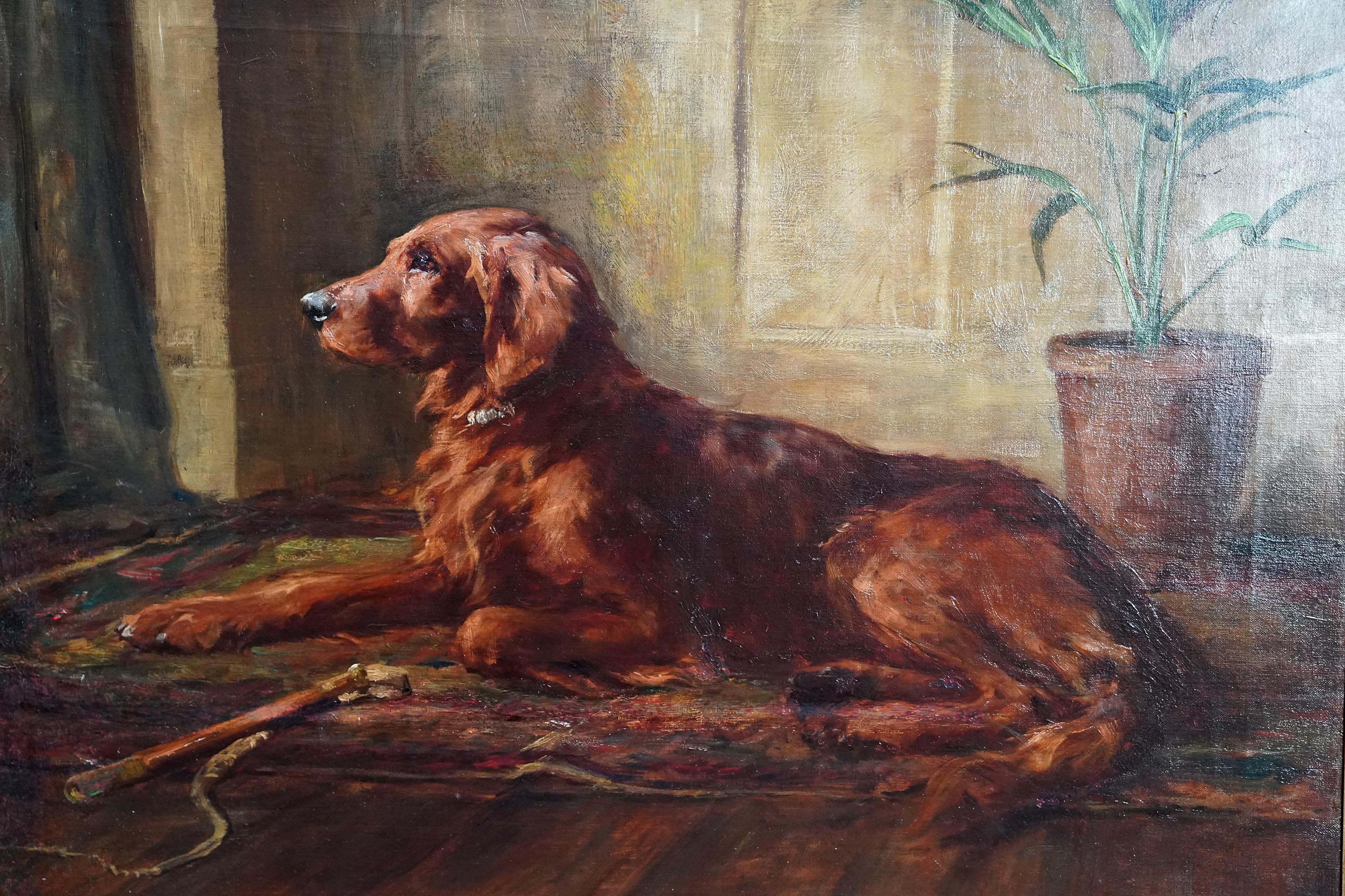 George Denholm Armour - Portrait of an Irish Red Setter Dog - British ...