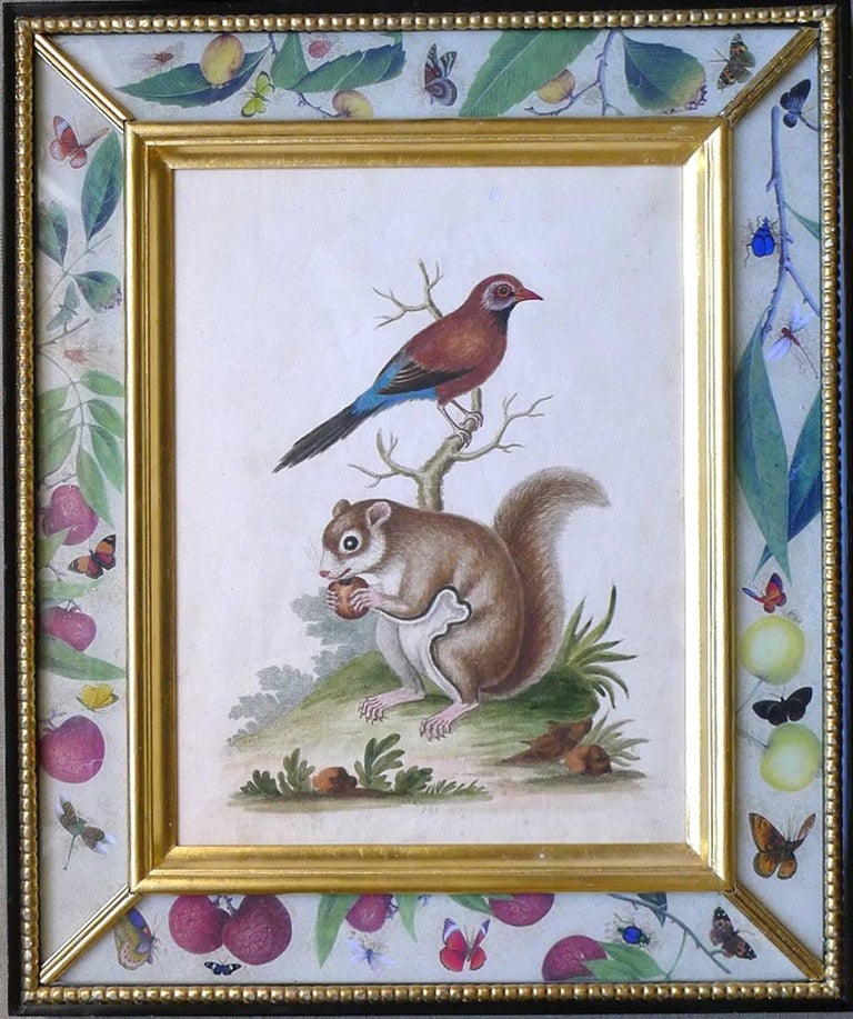 George Edwards Set of Twelve Bird Engravings, circa 1740 at 1stDibs