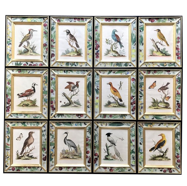 George Edwards Set of Twelve Engravings of Birds, circa 1740-1760 at ...