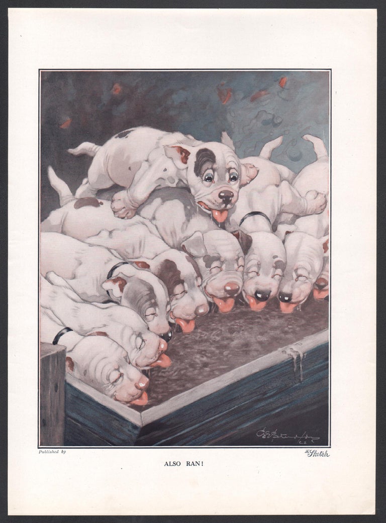 Also Ran ! George Studdy Bonzo puppy bull dog print For Sale at 1stDibs