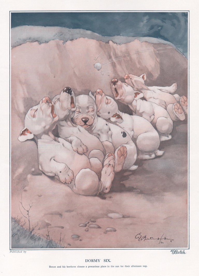 Dormy Six. George Studdy Bonzo puppy bull dog print For Sale at 1stDibs