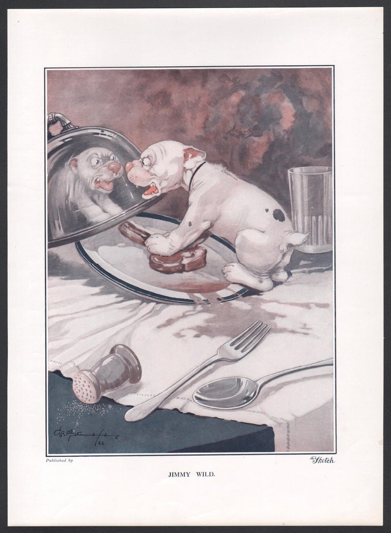 Jimmy Wild. George Studdy Bonzo puppy bull dog print For Sale at 1stDibs