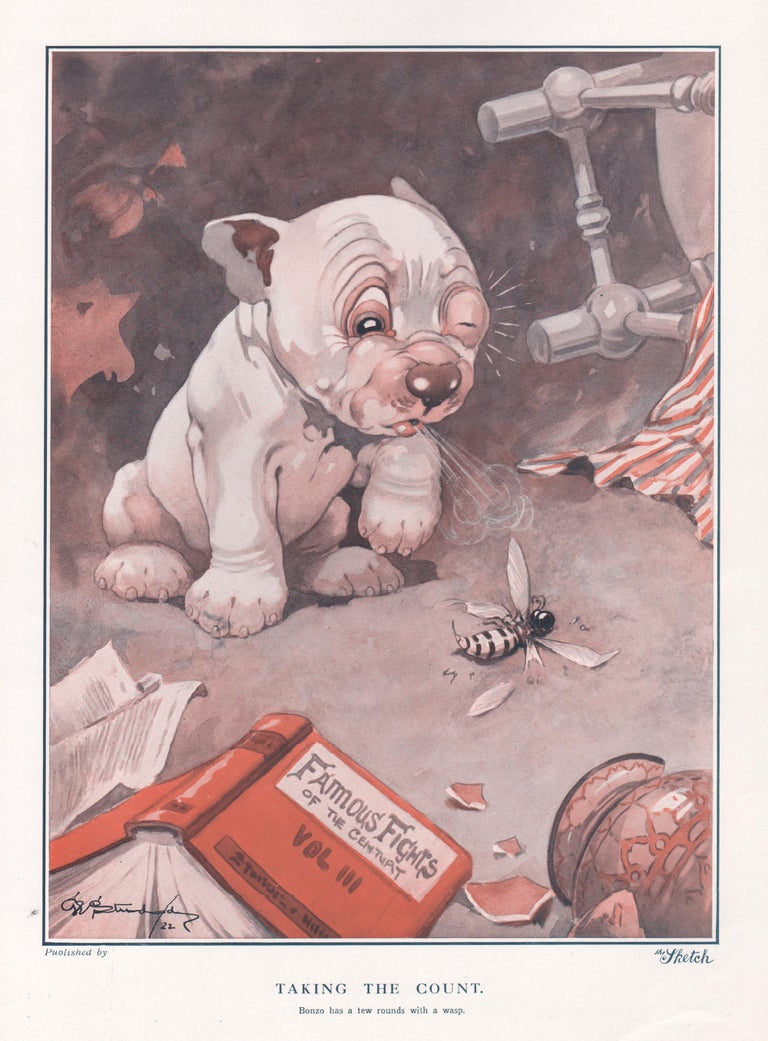 Taking the Count. George Studdy Bonzo puppy bull dog print For Sale at ...