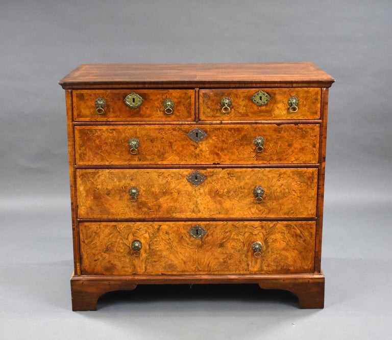 George II Burr Walnut Chest of Drawers For Sale at 1stDibs