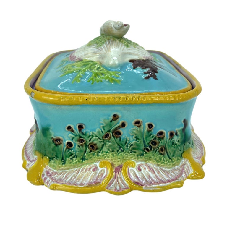 George Jones Majolica Sardine Box with Shells and Seaweed, English, ca ...