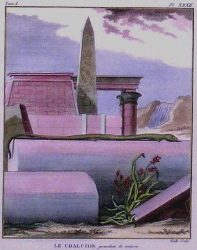 Georges-Louis Leclerc, Comte de Buffon - Lizard Le Chalcide For Sale at ...