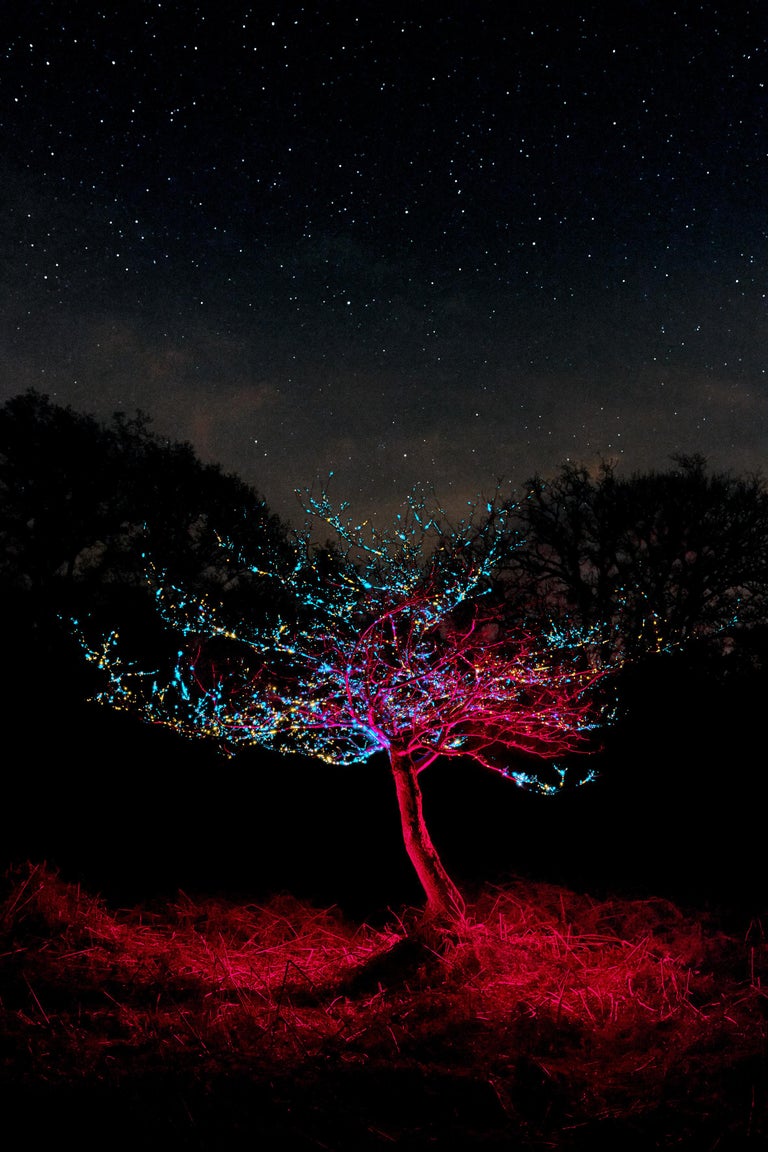 George McLeod - Sci-fi sparkle Red Blue Tree by Night with skylight ...