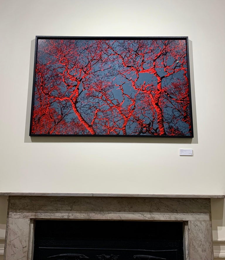 George McLeod - #7, 'Tree Huggers...' Red Blue Trees and Sky; Abstract ...