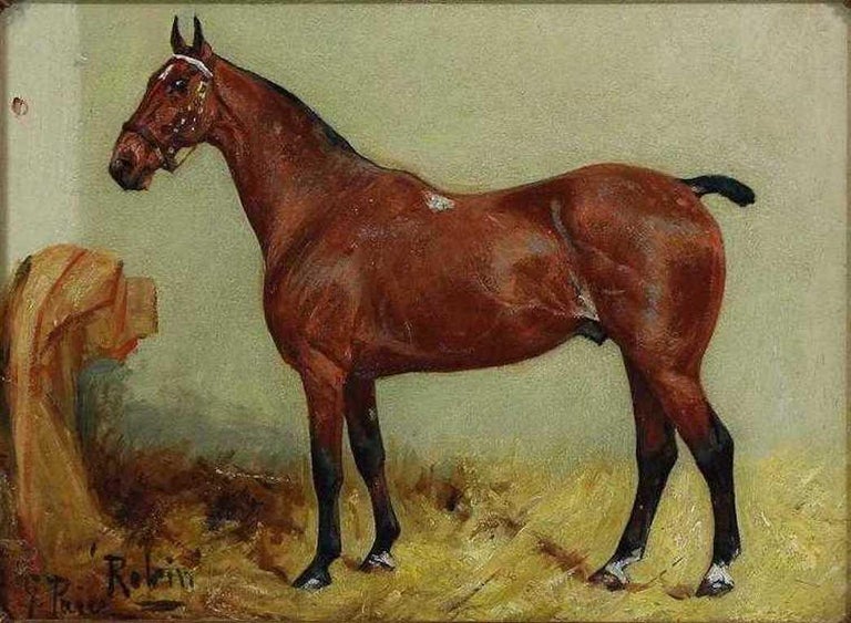 George Paice - George Paice 'Robin' Equestrian Horse Painting at 1stDibs