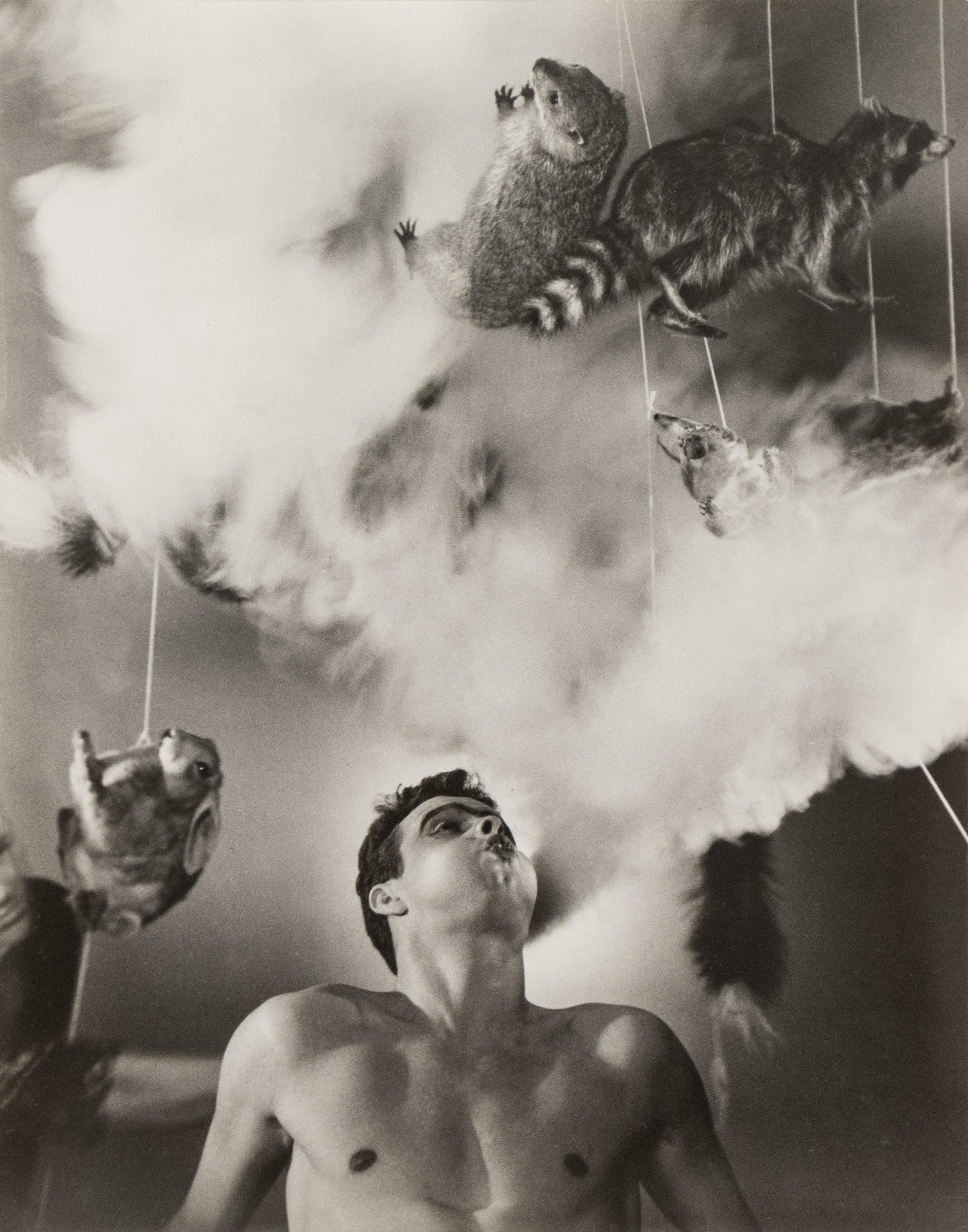 George Platt Lynes - Boreas (from the Mythology series) For Sale at 1stDibs