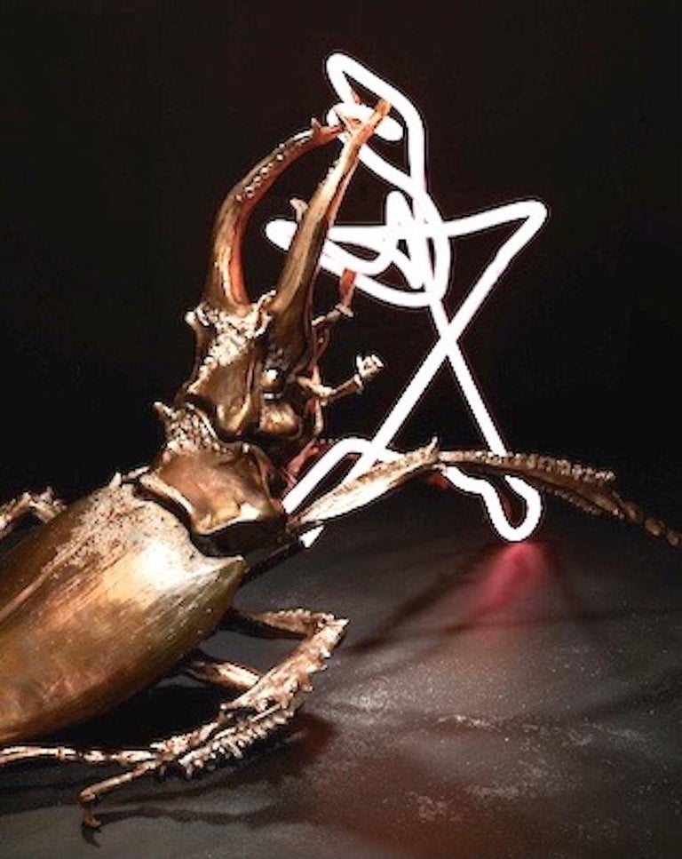 George Sellers, „Coleoptera“ mit neonfarbenem Käfer, Bronze, Neon ...