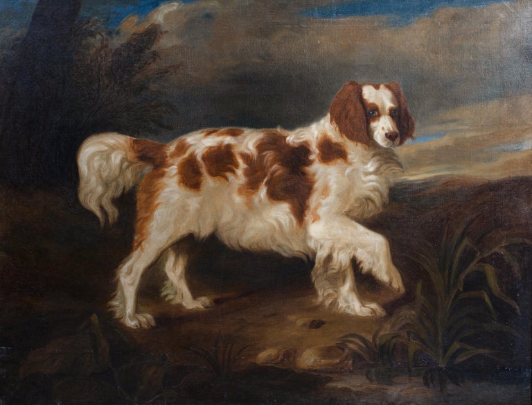 Portrait Of A Spaniel, circa 1800 at 1stDibs