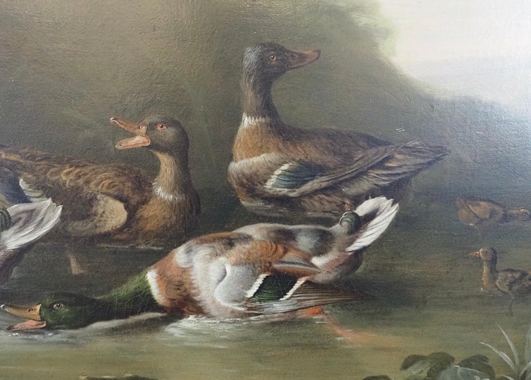 George William Sartorius - Mallard Drakes with Ducks and Ducklings in a ...