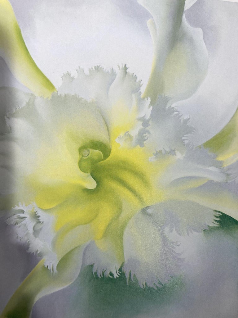 Georgia O'Keeffe One Hundred Flowers Coffee Table Hardcover Art Book ...