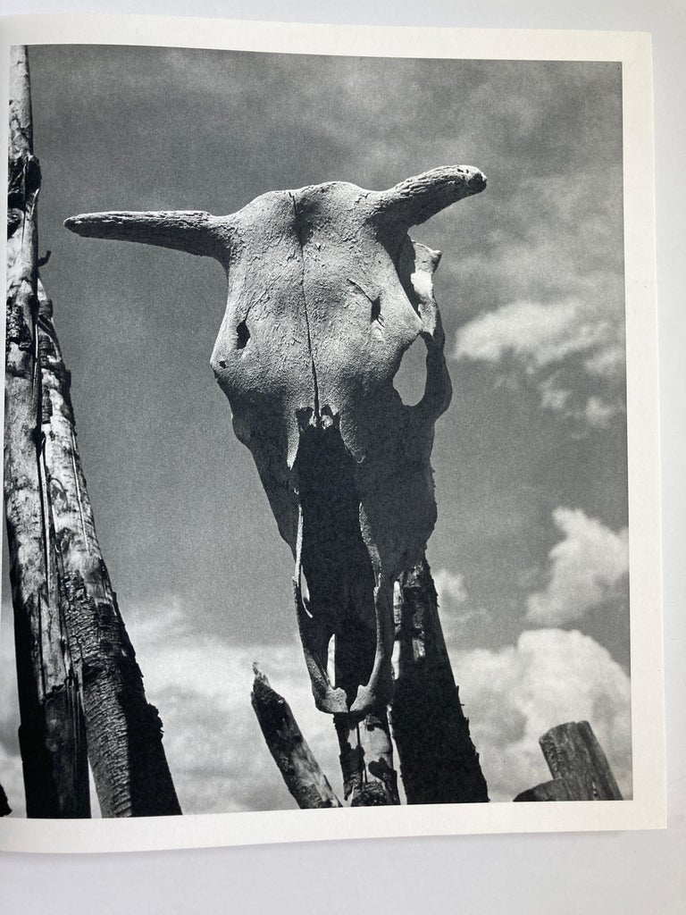 Georgia O'Keeffe The Artist's Landscape by Todd Webb at 1stDibs