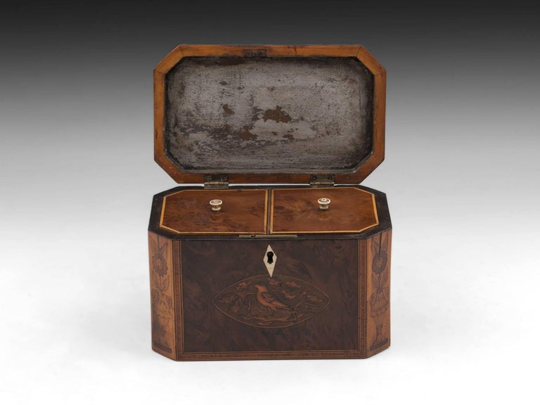 Georgian Antique Burr Yew Conch Shell Tea Caddy, 18th Century For Sale ...