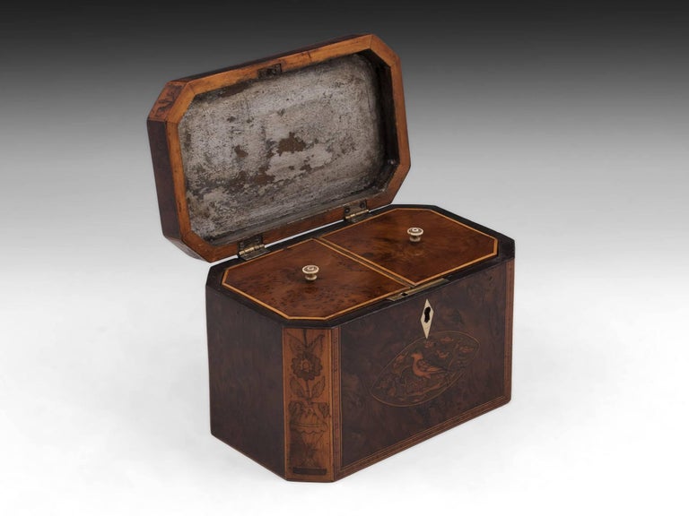 Georgian Antique Burr Yew Conch Shell Tea Caddy, 18th Century For Sale ...