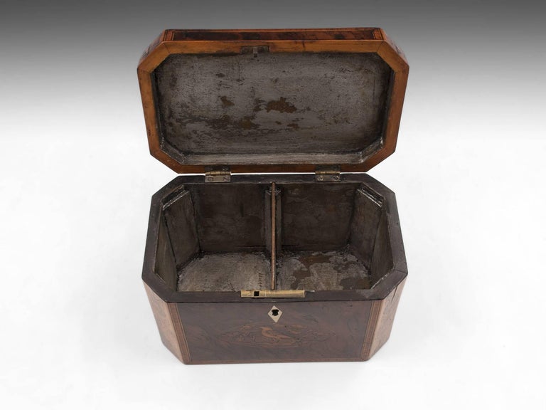 Georgian Antique Burr Yew Conch Shell Tea Caddy, 18th Century For Sale ...
