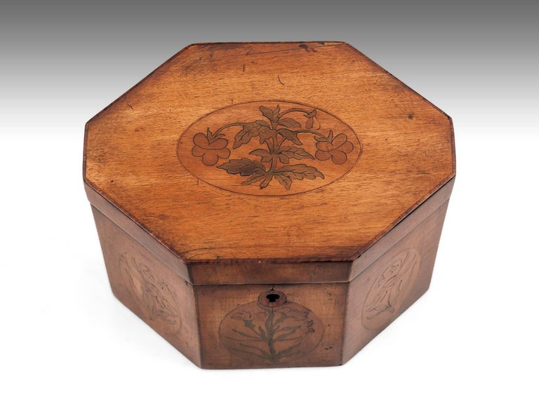 Georgian Antique Octagonal Sycamore Tea Caddy 18th Century For Sale at ...