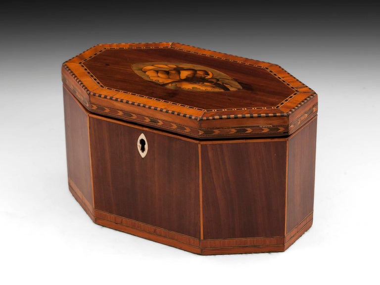 Georgian Conch Shell Inlaid Octagonal Tea Caddy For Sale at 1stDibs