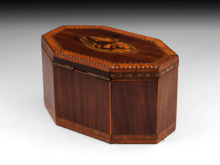 Georgian Conch Shell Inlaid Octagonal Tea Caddy For Sale at 1stDibs