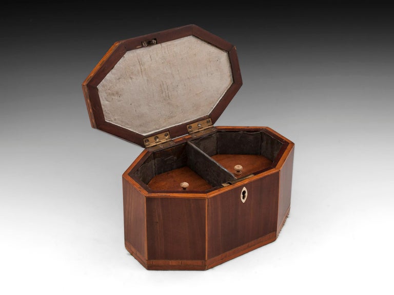 Georgian Conch Shell Inlaid Octagonal Tea Caddy For Sale at 1stDibs