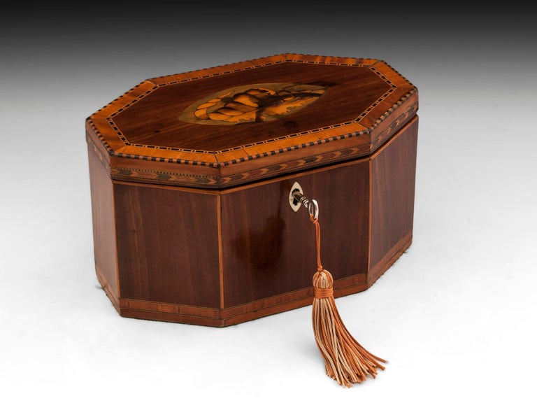 Georgian Conch Shell Inlaid Octagonal Tea Caddy For Sale at 1stDibs