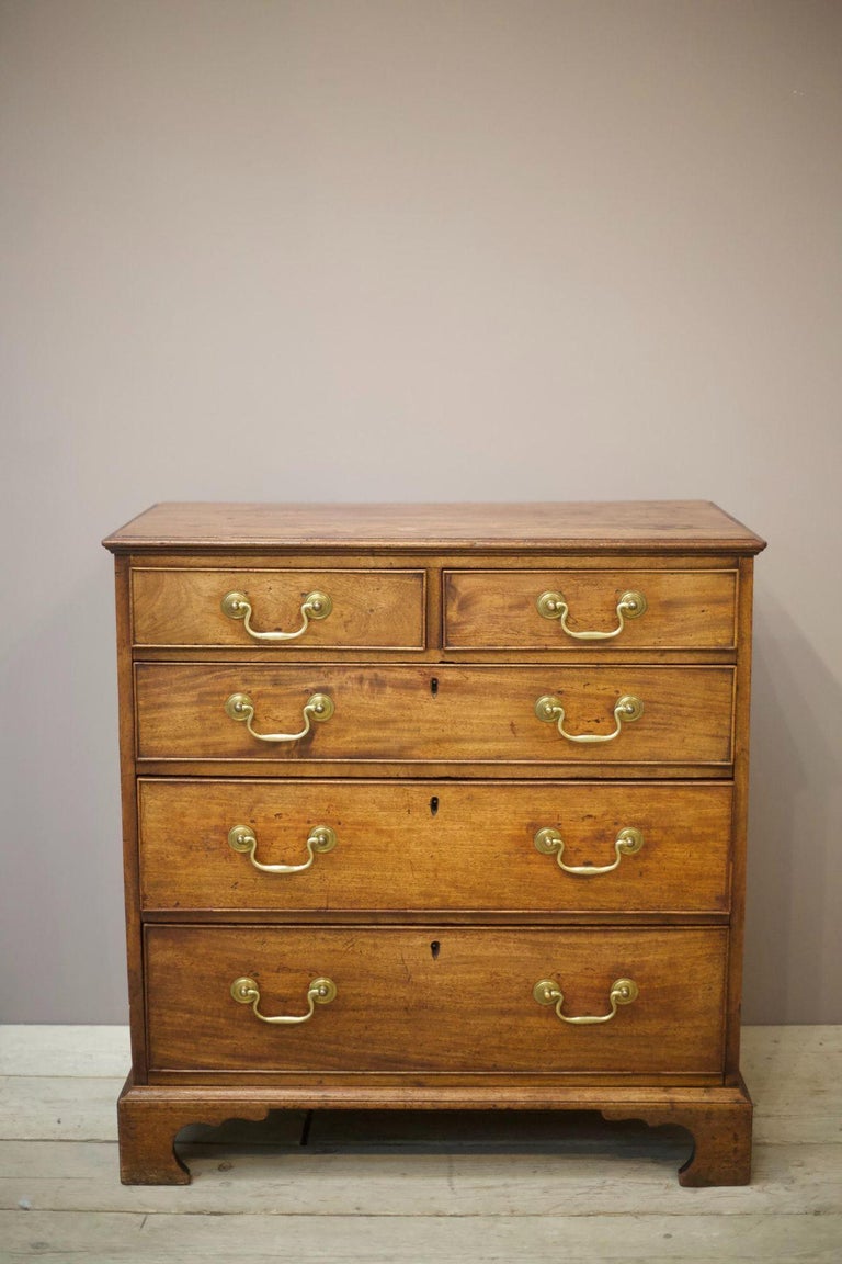 Georgian Mahogany Chest of Drawers For Sale at 1stDibs